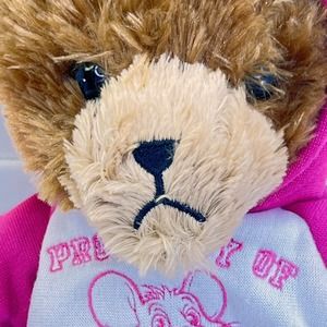 Good Stuff | Toys | Teddy Bear Property Of Chuck E Cheeses Pink Hoodie ...
